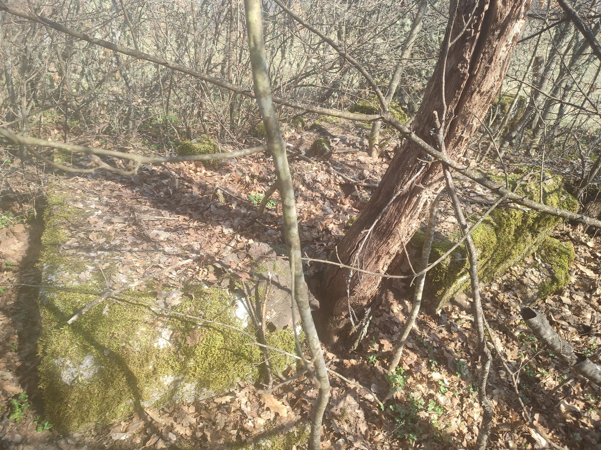 Crljanke, Putojevići – Foča | bassania english