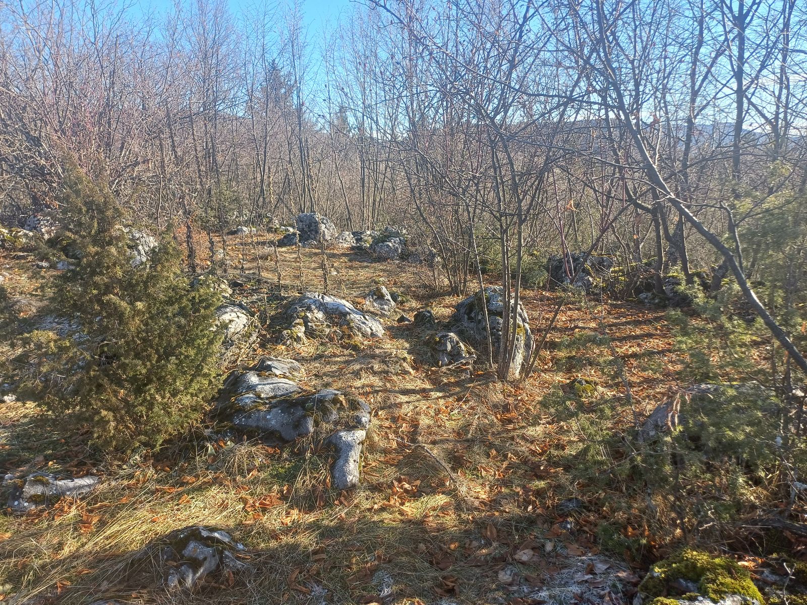 Fondacija “Čuvari baštine – Bassania” otkrila neevidentiranu ilirsku ...